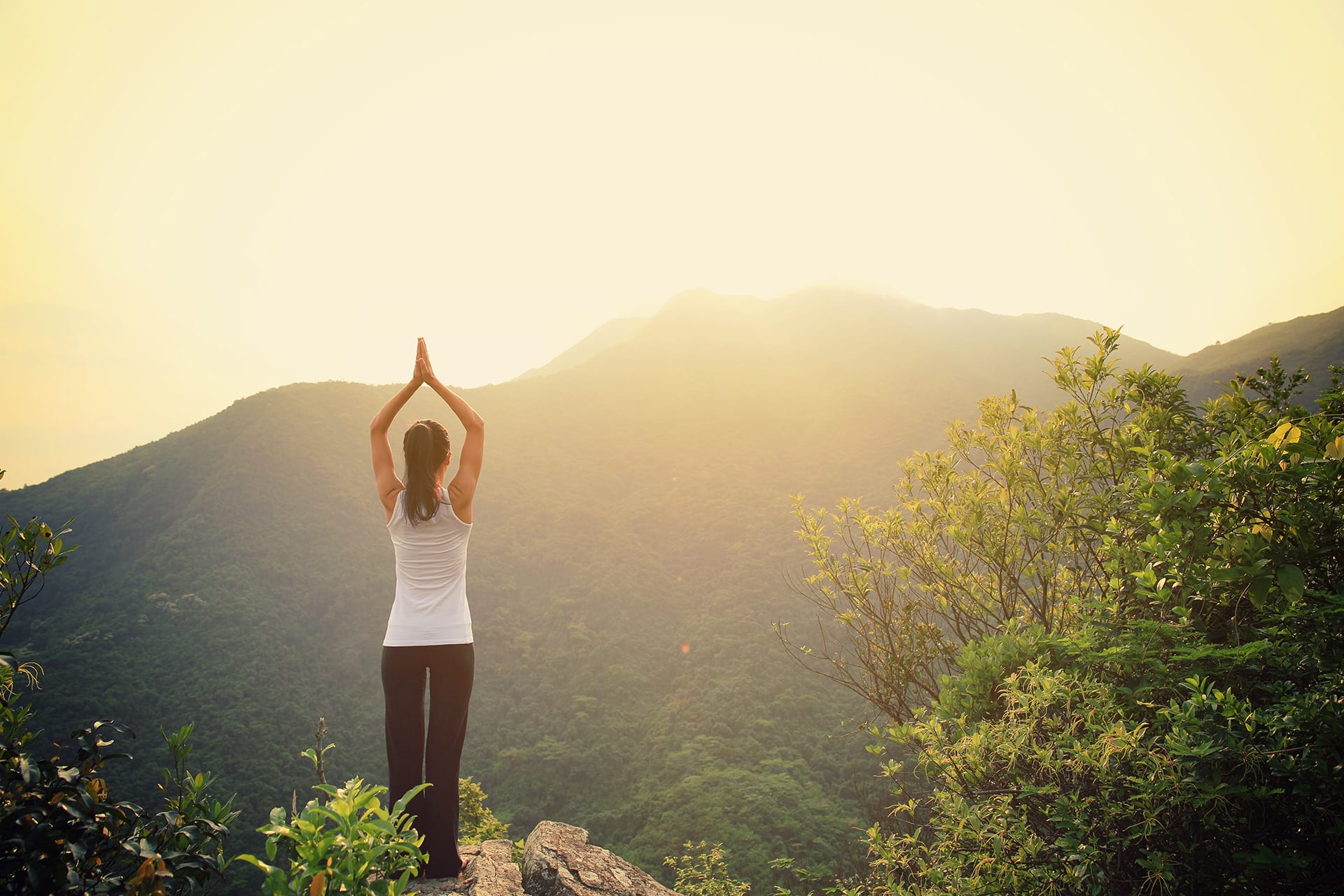 Touching The Pristine Sapa - Lady Hill Sapa Resort